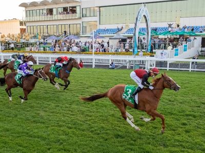 Homepage :: Racing Queensland