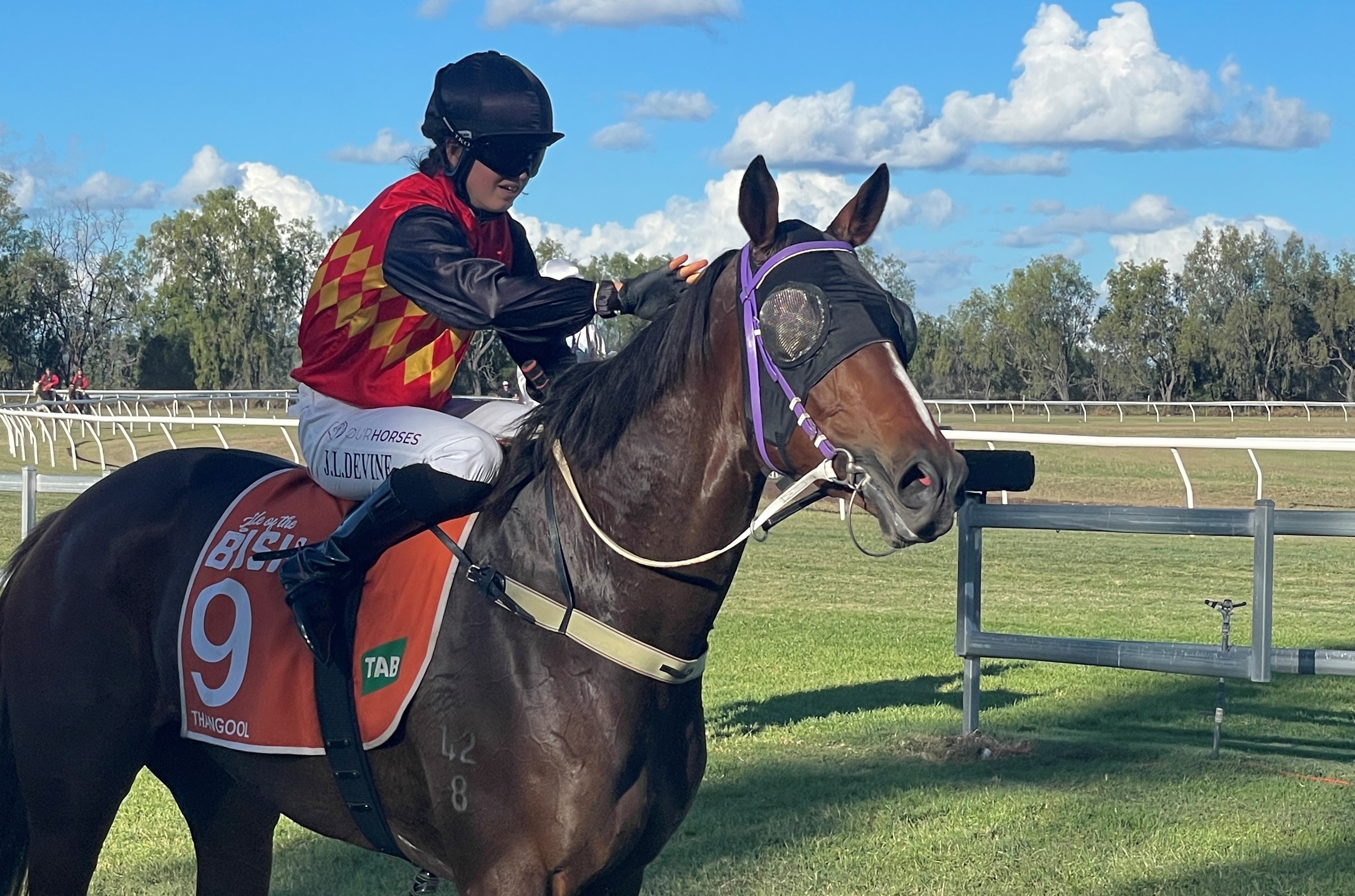 Sign In :: Racing Queensland