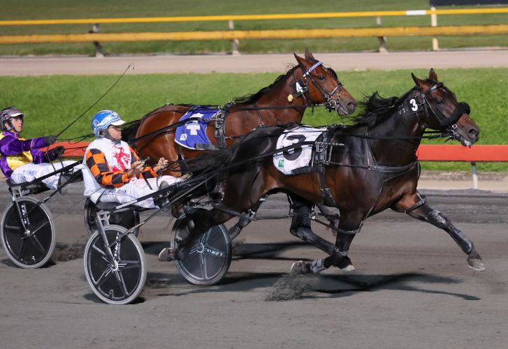 Homepage :: Racing Queensland