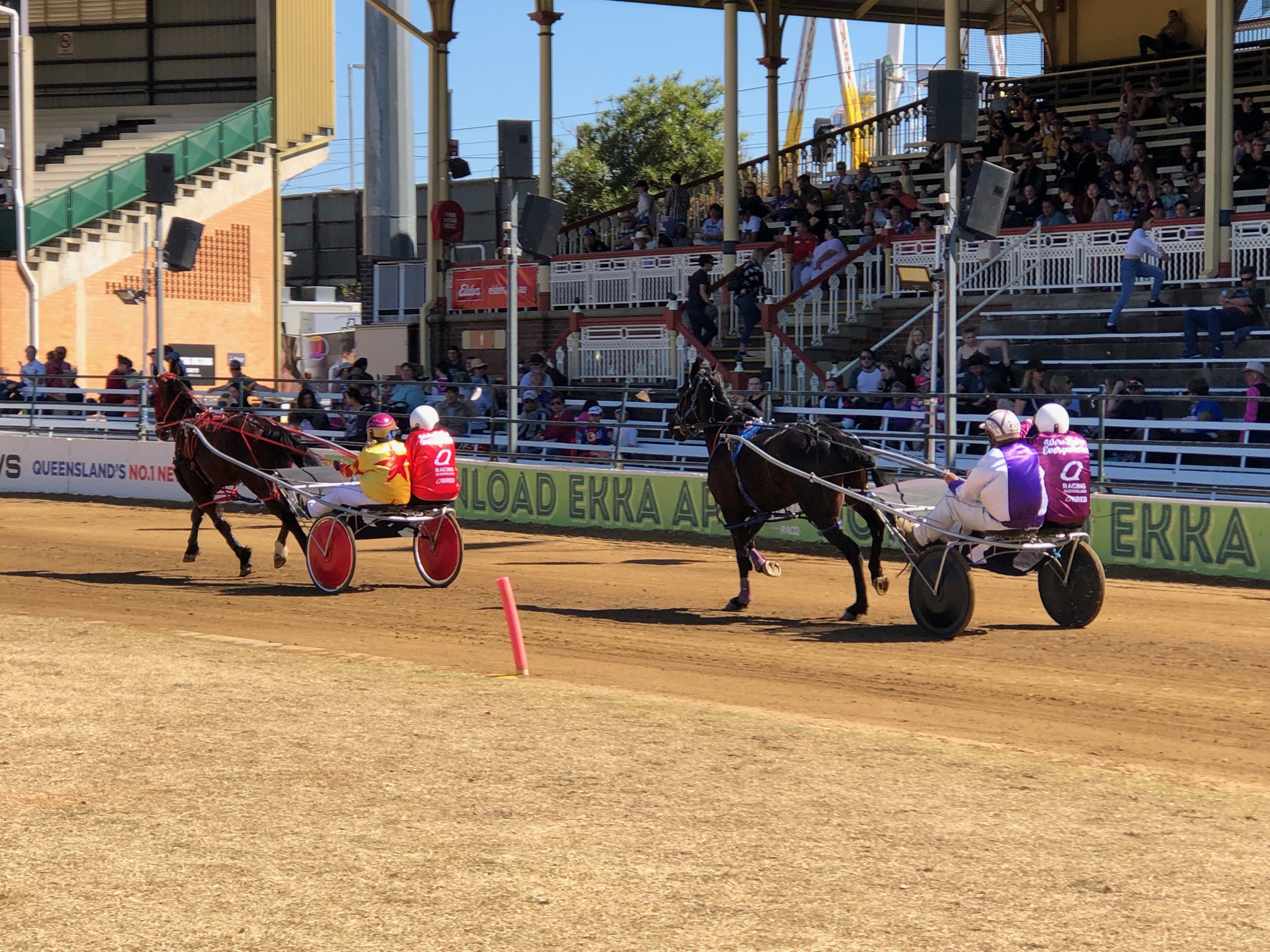 Homepage :: Racing Queensland