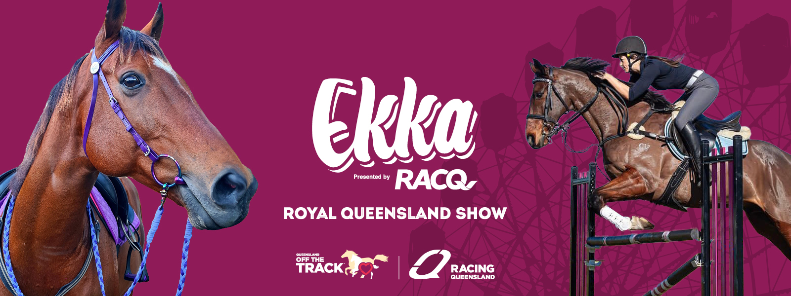 Homepage :: Racing Queensland