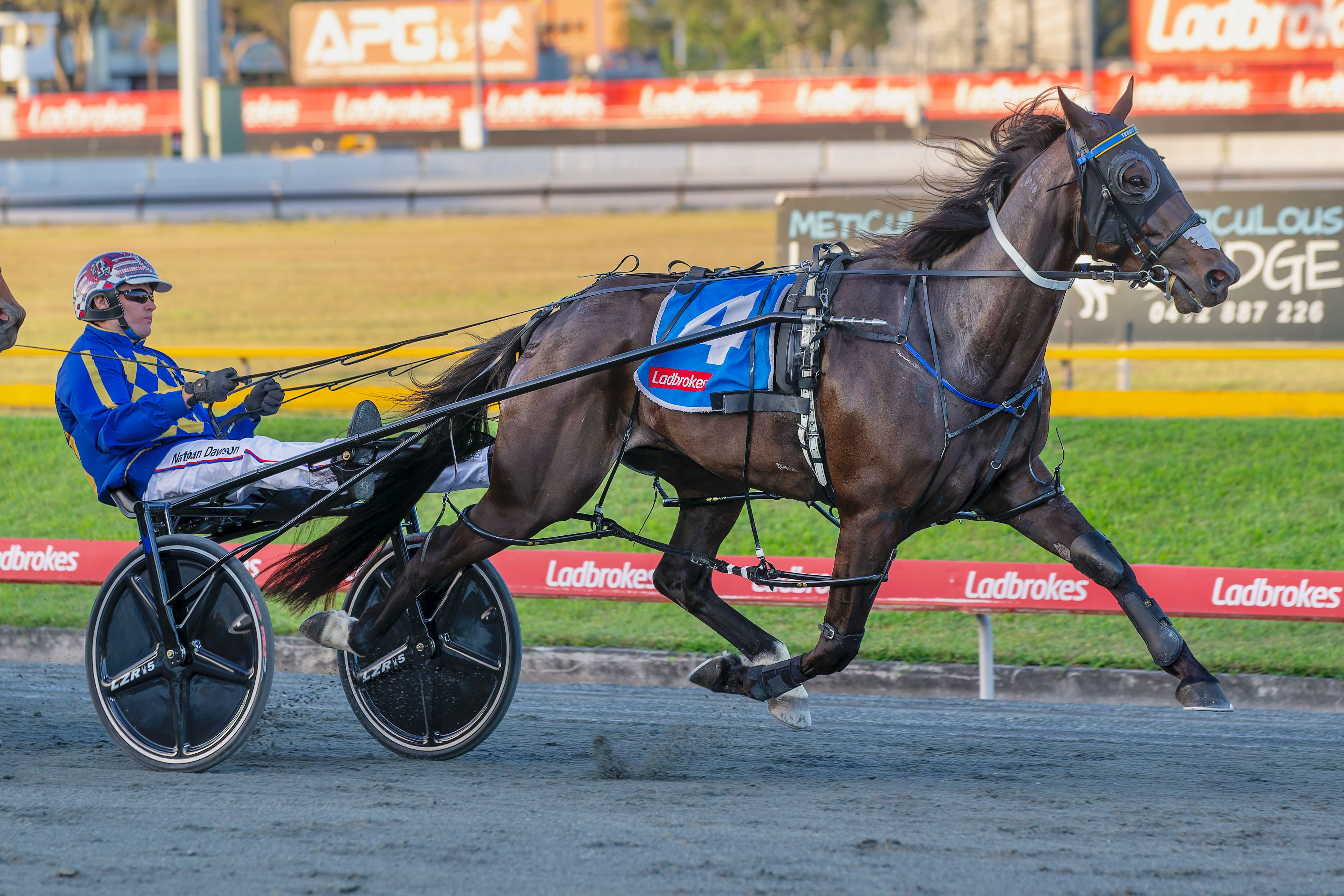 Queensland Thoroughbred, Greyhound and Harness Racing Results Today ...