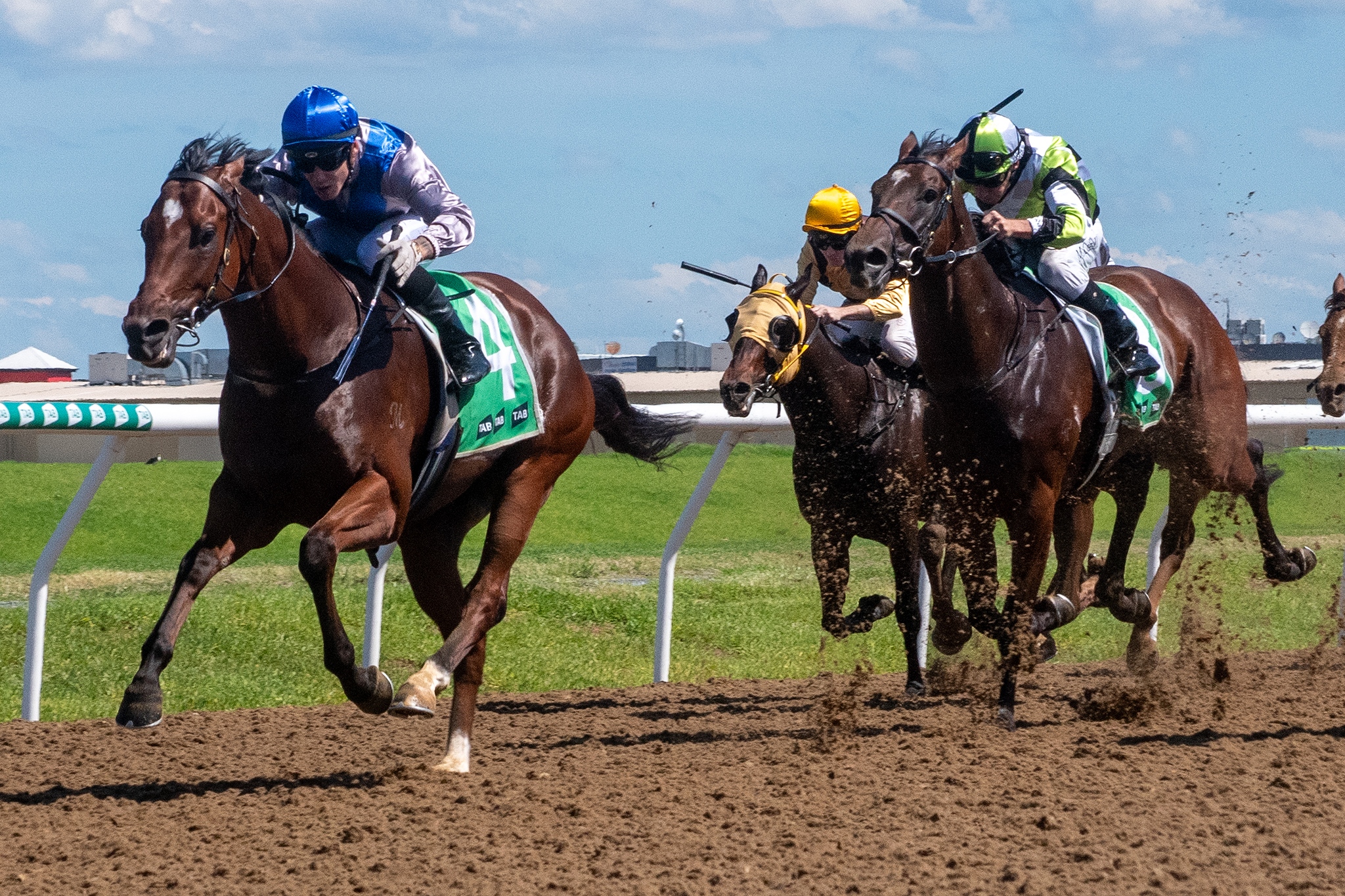 Queensland Thoroughbred, Greyhound and Harness Racing Results Today ...