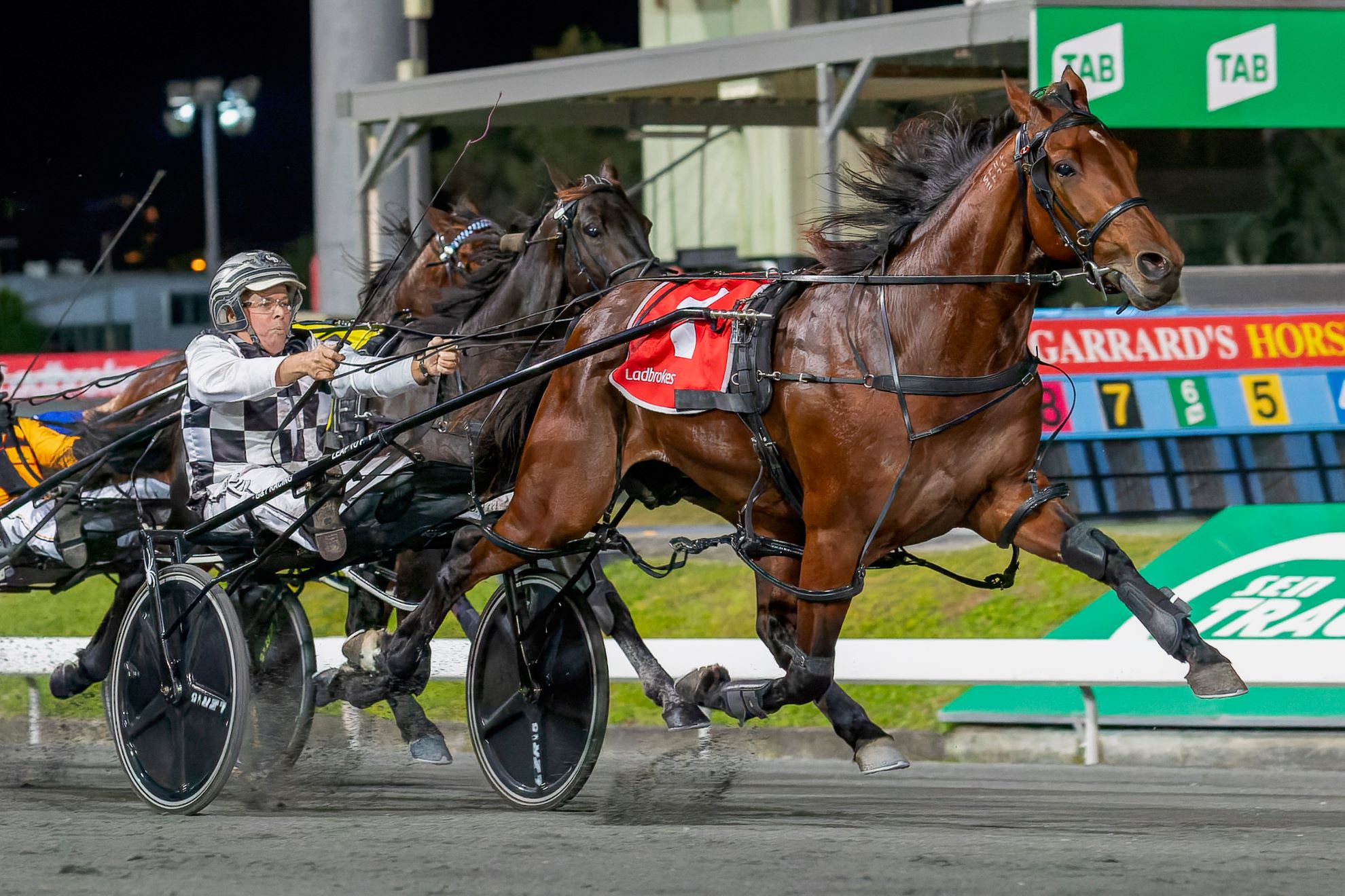 Queensland Harness Racing Wrap - April 29 :: Racing Queensland