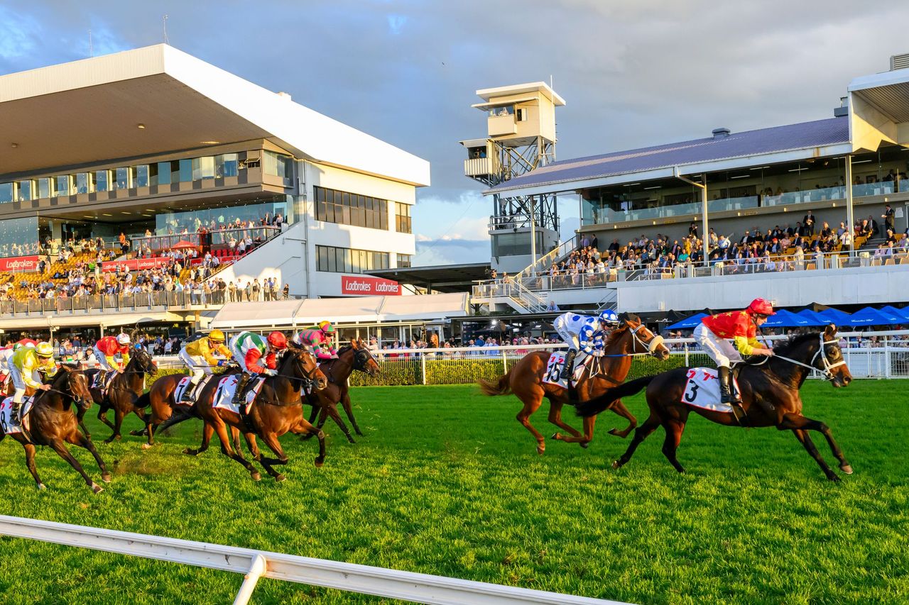 Harness Industry Information :: Racing Queensland