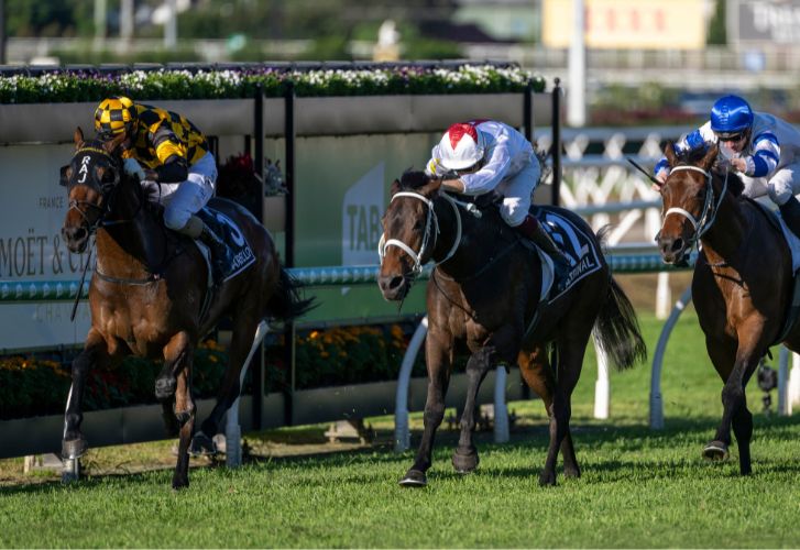 Find a Racing Event Near You :: Racing Queensland