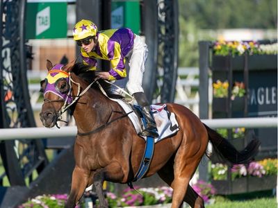 Find a Racing Event Near You :: Racing Queensland