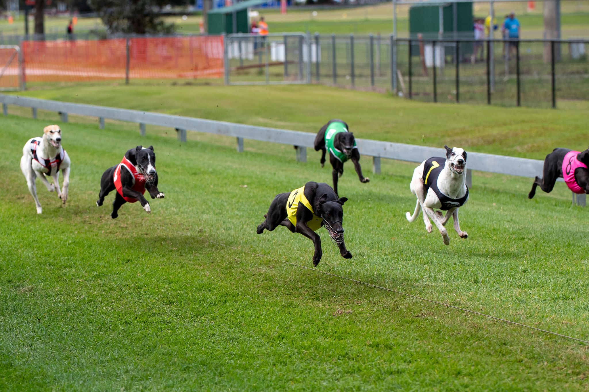 Homepage :: Racing Queensland