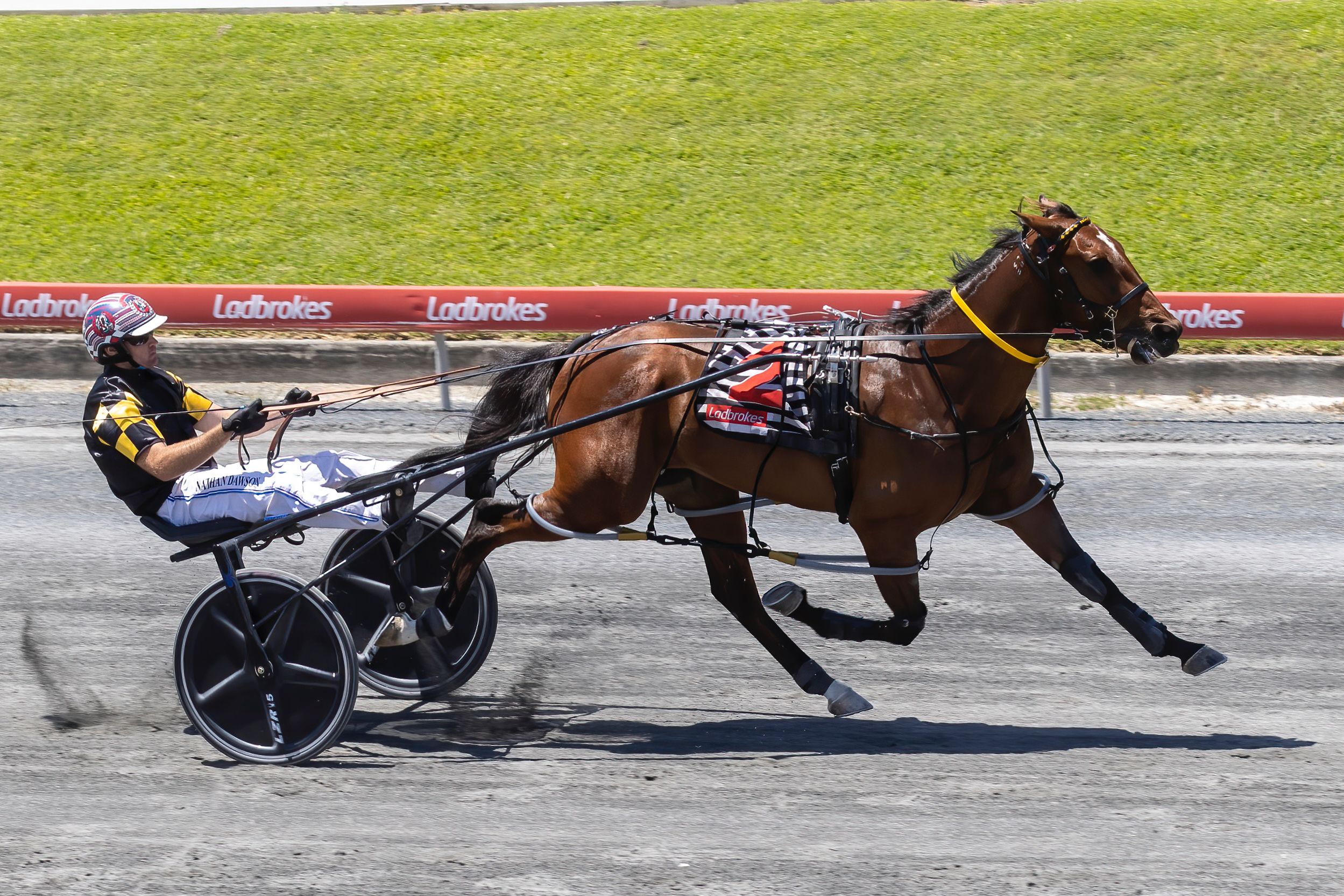 Sectional stars and black bookers - June 2 :: Racing Queensland