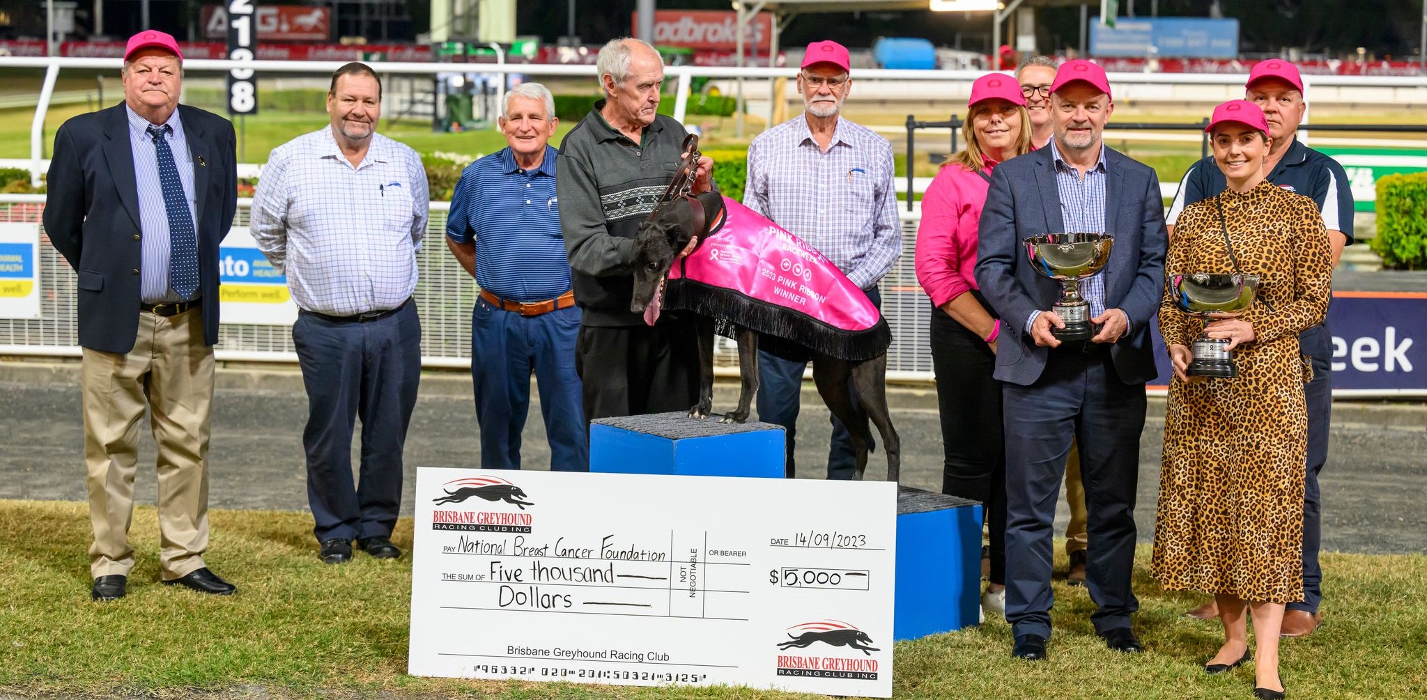 Greyhound TAB - VENUE MODE Maiden F 331m Sun 27 Aug 2023 :: Racing ...