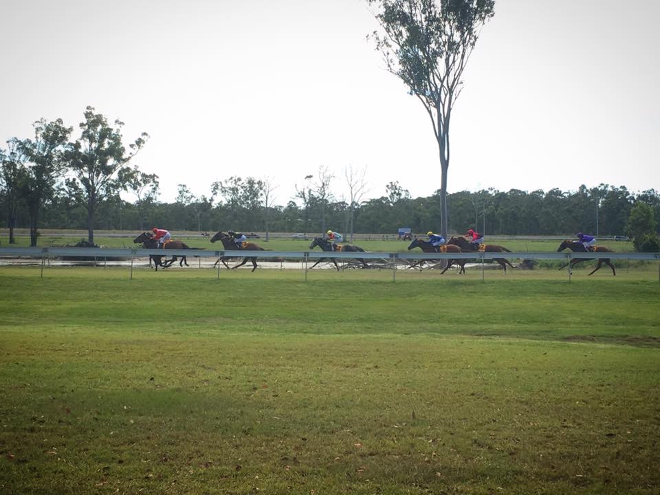 02 February :: Racing Queensland