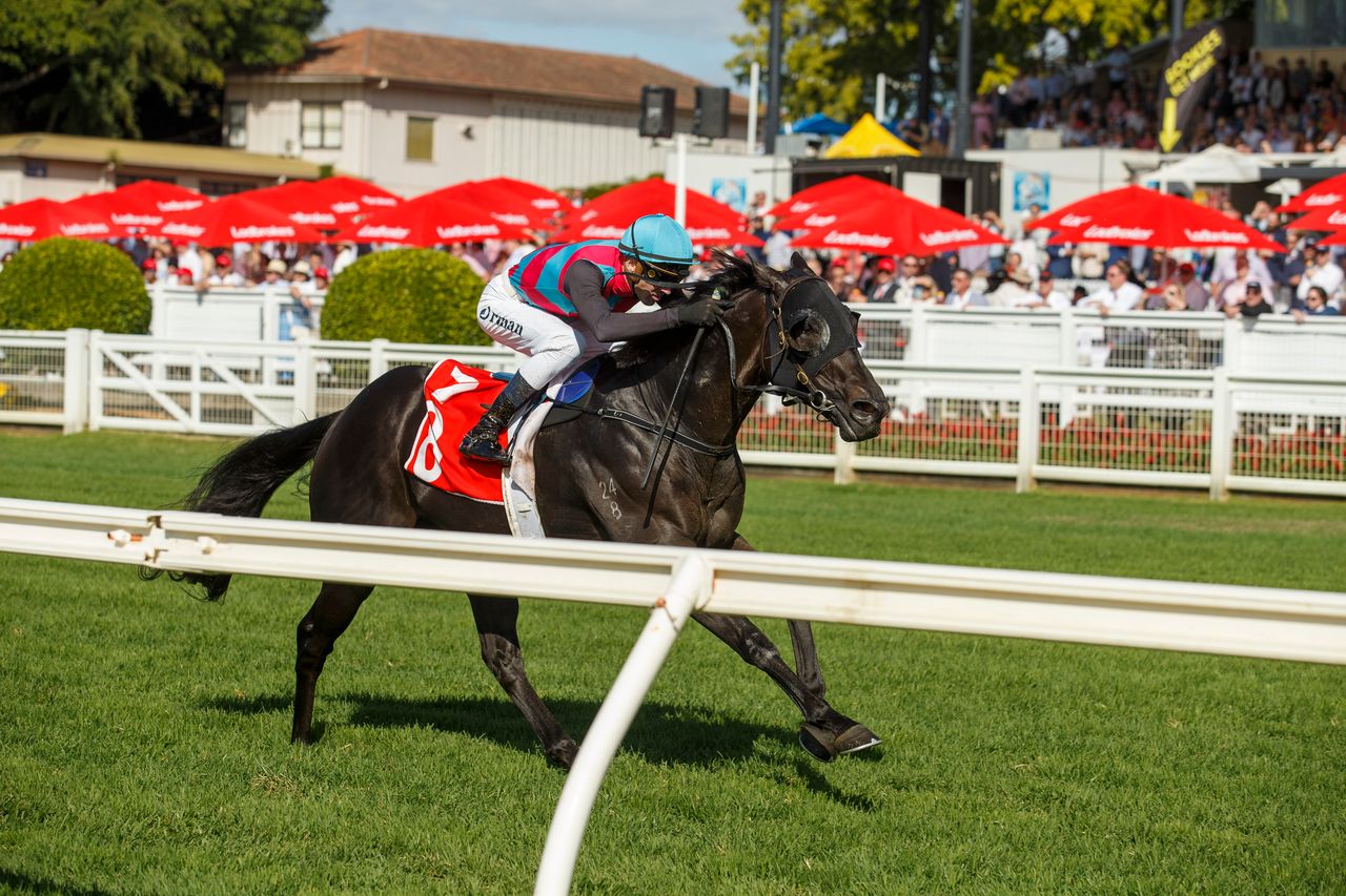 Racing Calendar :: Racing Queensland