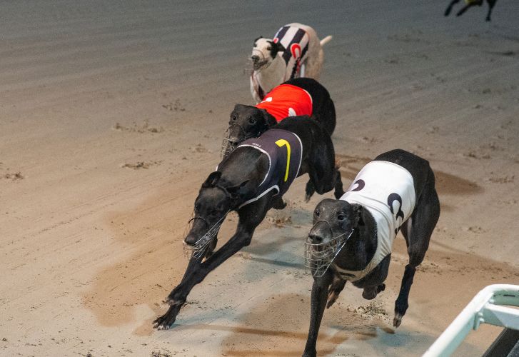 Homepage :: Racing Queensland