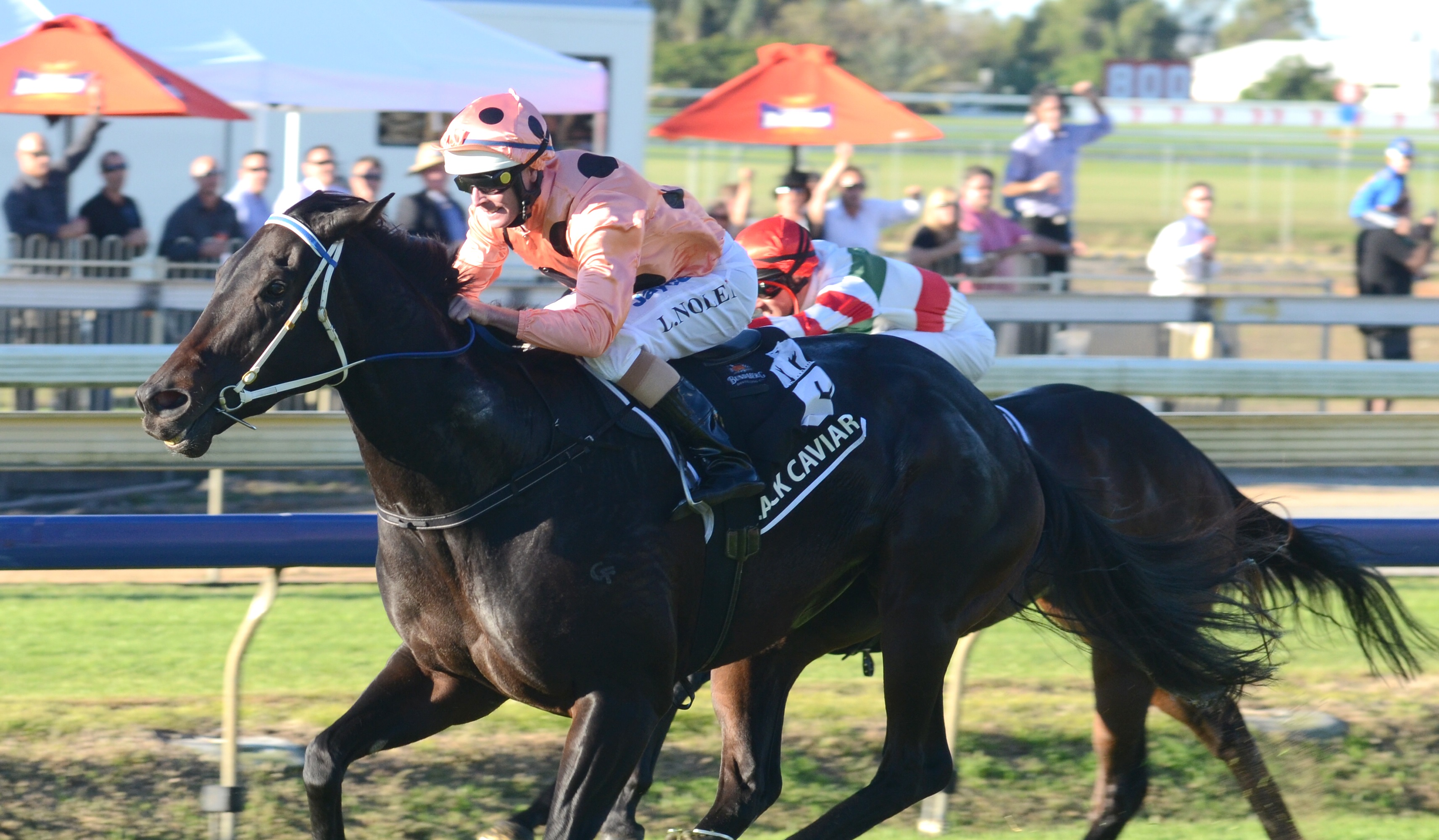 Homepage :: Racing Queensland