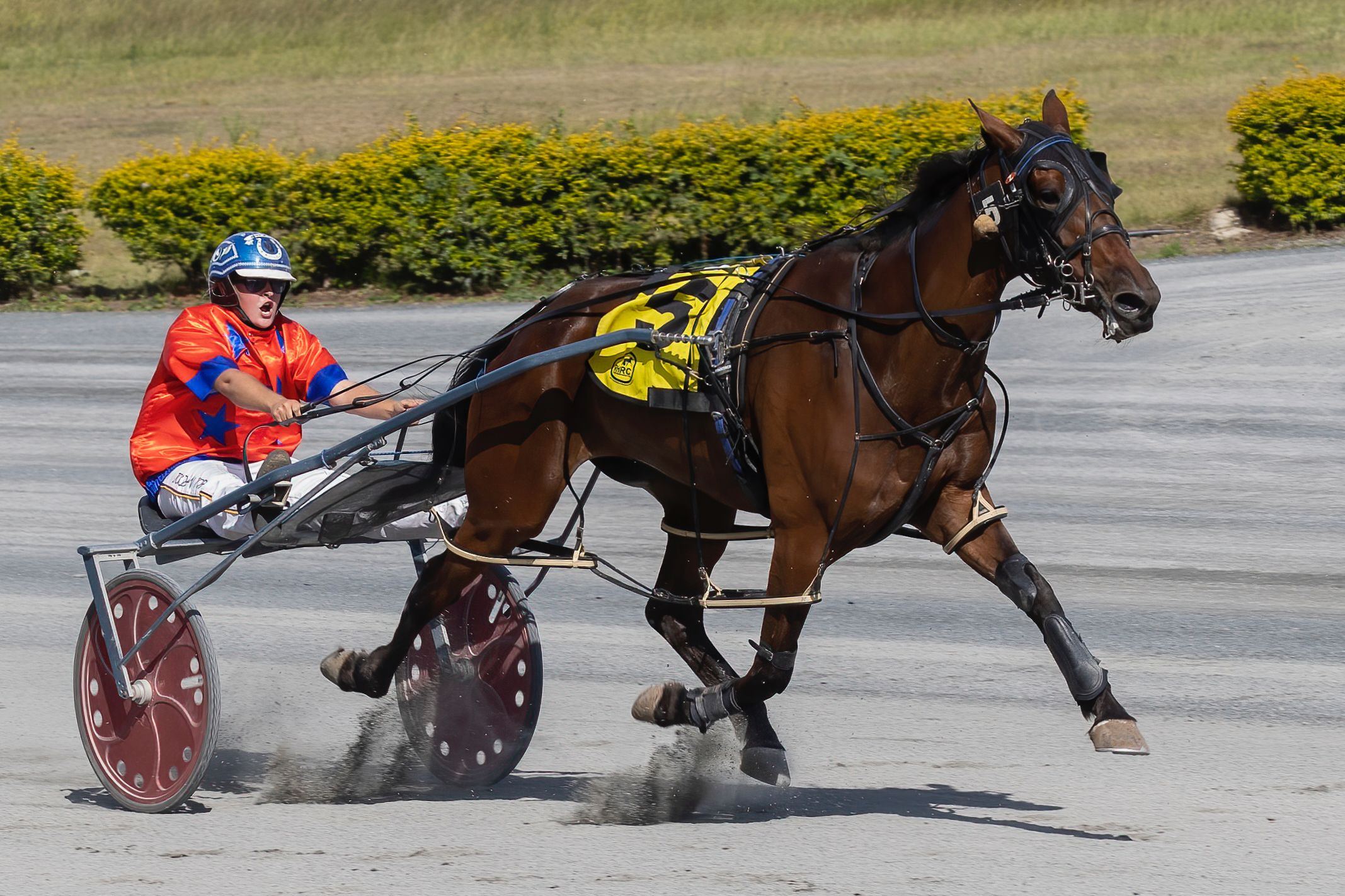 01 January :: Racing Queensland