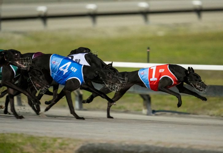 Find a Racing Event Near You :: Racing Queensland