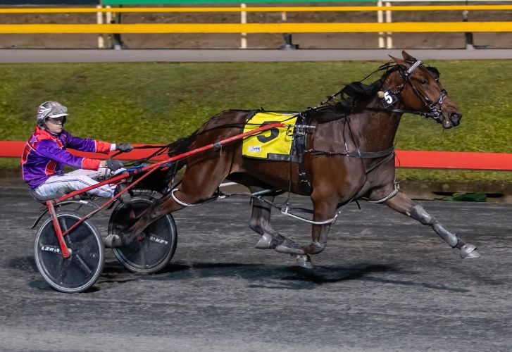 Homepage :: Racing Queensland