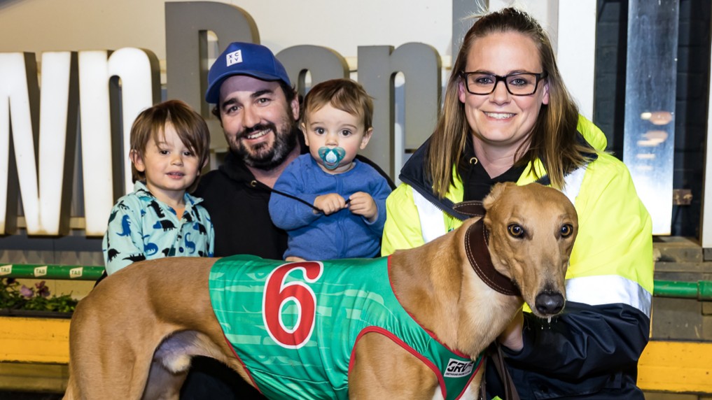 Ownership calculator :: Racing Queensland