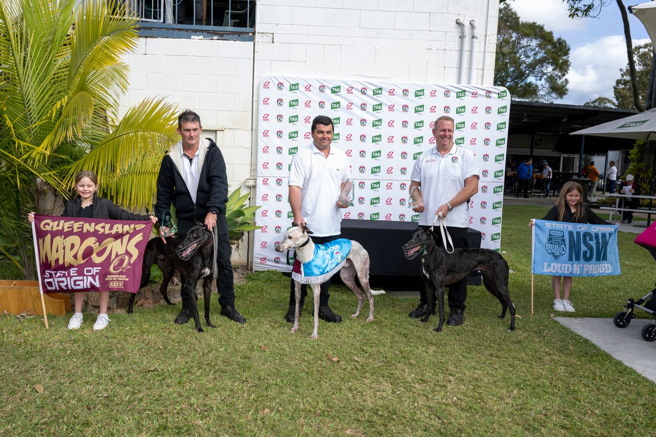 Greyhound Industry Information :: Racing Queensland