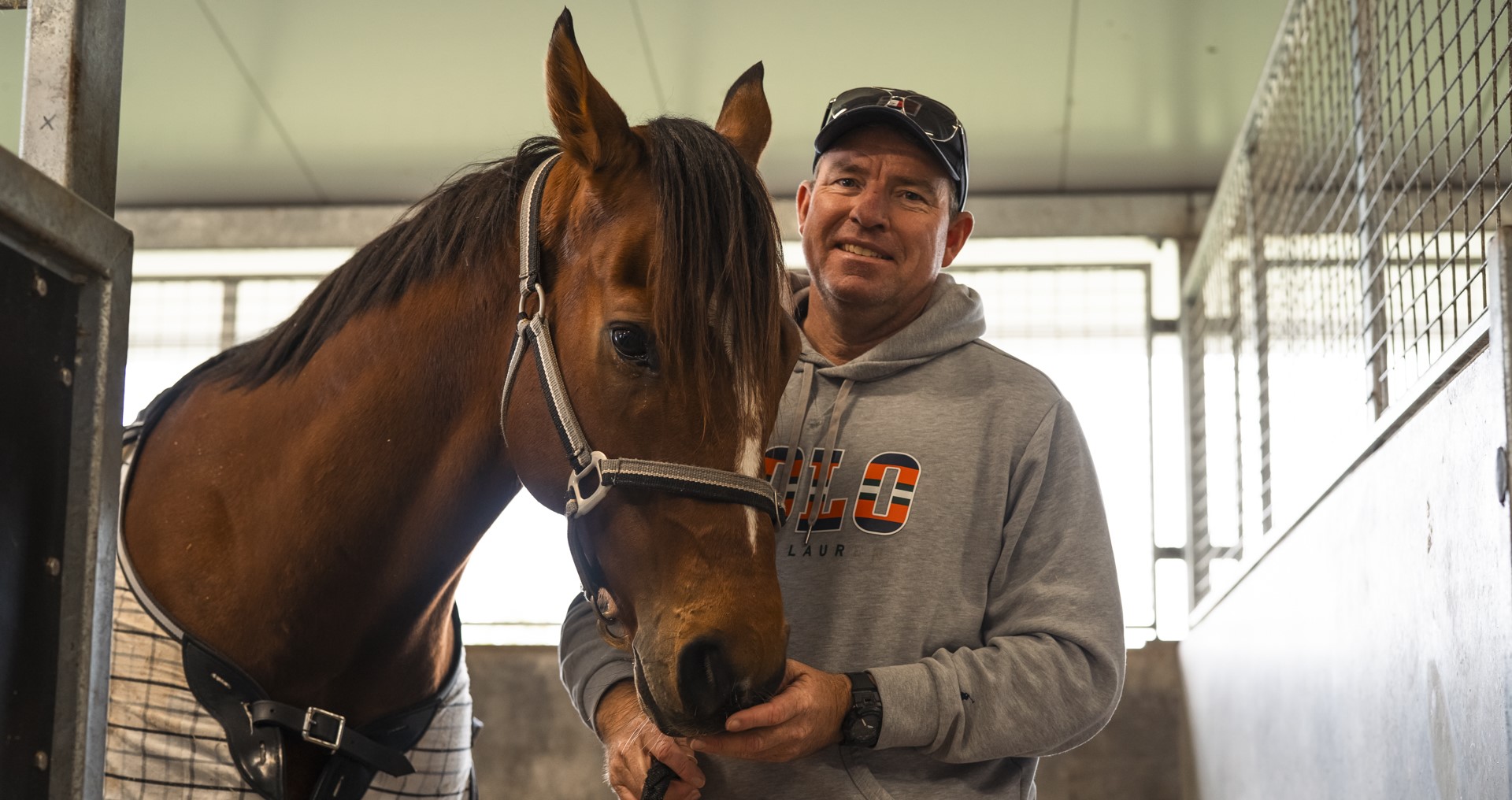 Rich Queensland Winter Greyhound Racing Carnival unveiled :: Racing ...