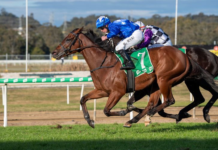 Homepage :: Racing Queensland