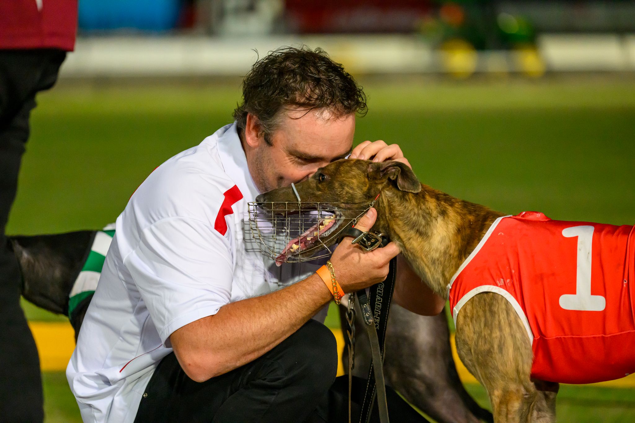 Greyhound GARRARD'S HORSE & HOUND 431m Fri 01 Dec 2023 :: Racing Queensland