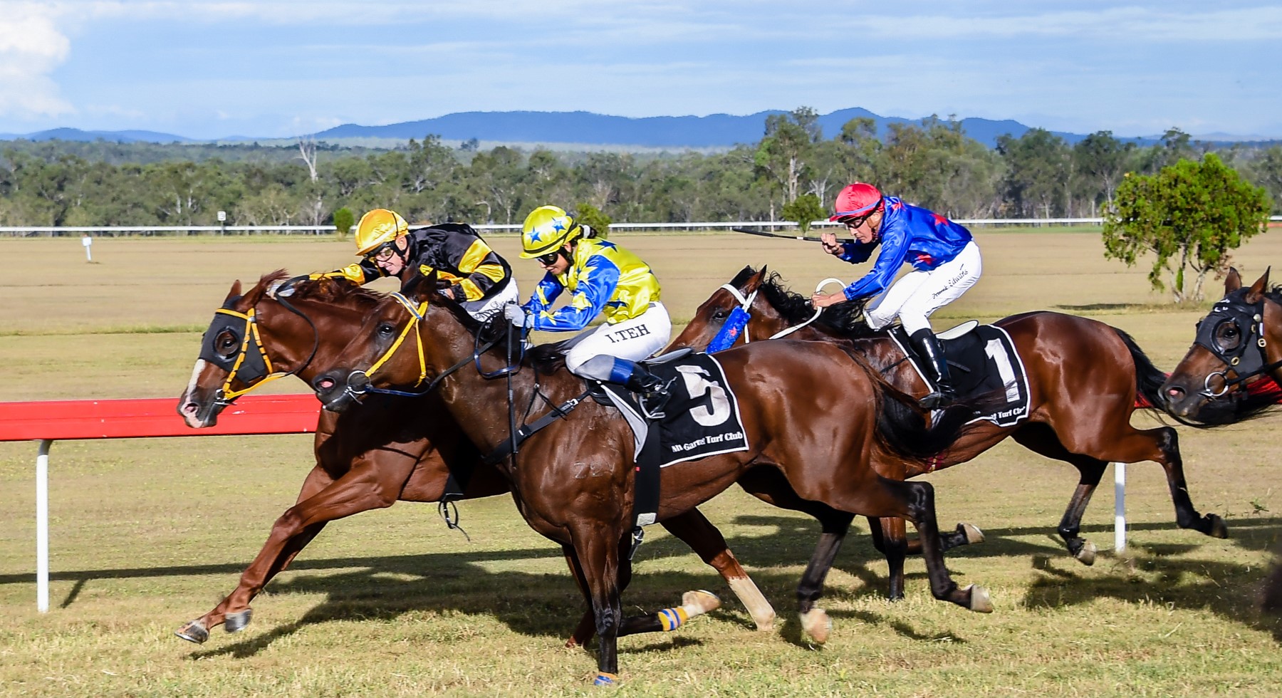 TAKE A RUNNING DOUBLE PACE 1780m :: Racing Queensland