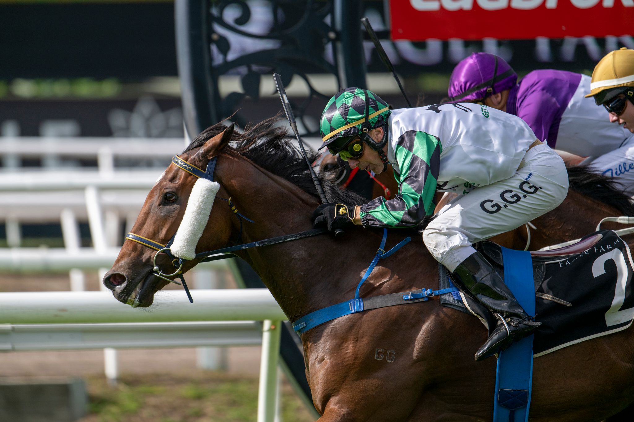 Past Members Trophy H 630m :: Racing Queensland