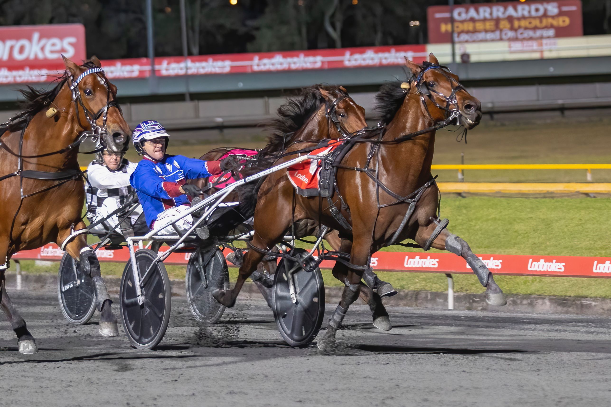 Stewards Report :: Racing Queensland