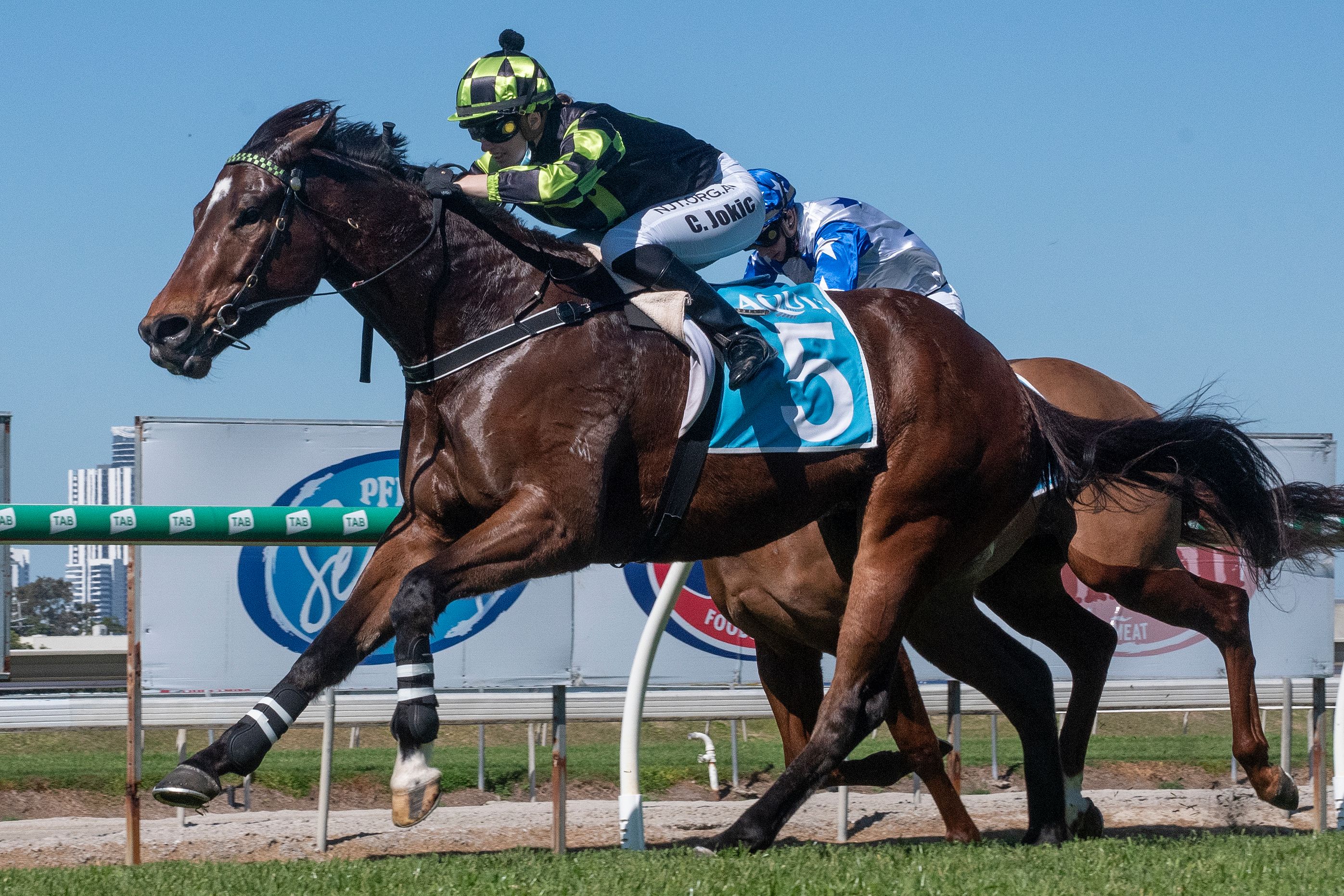 Homepage :: Racing Queensland