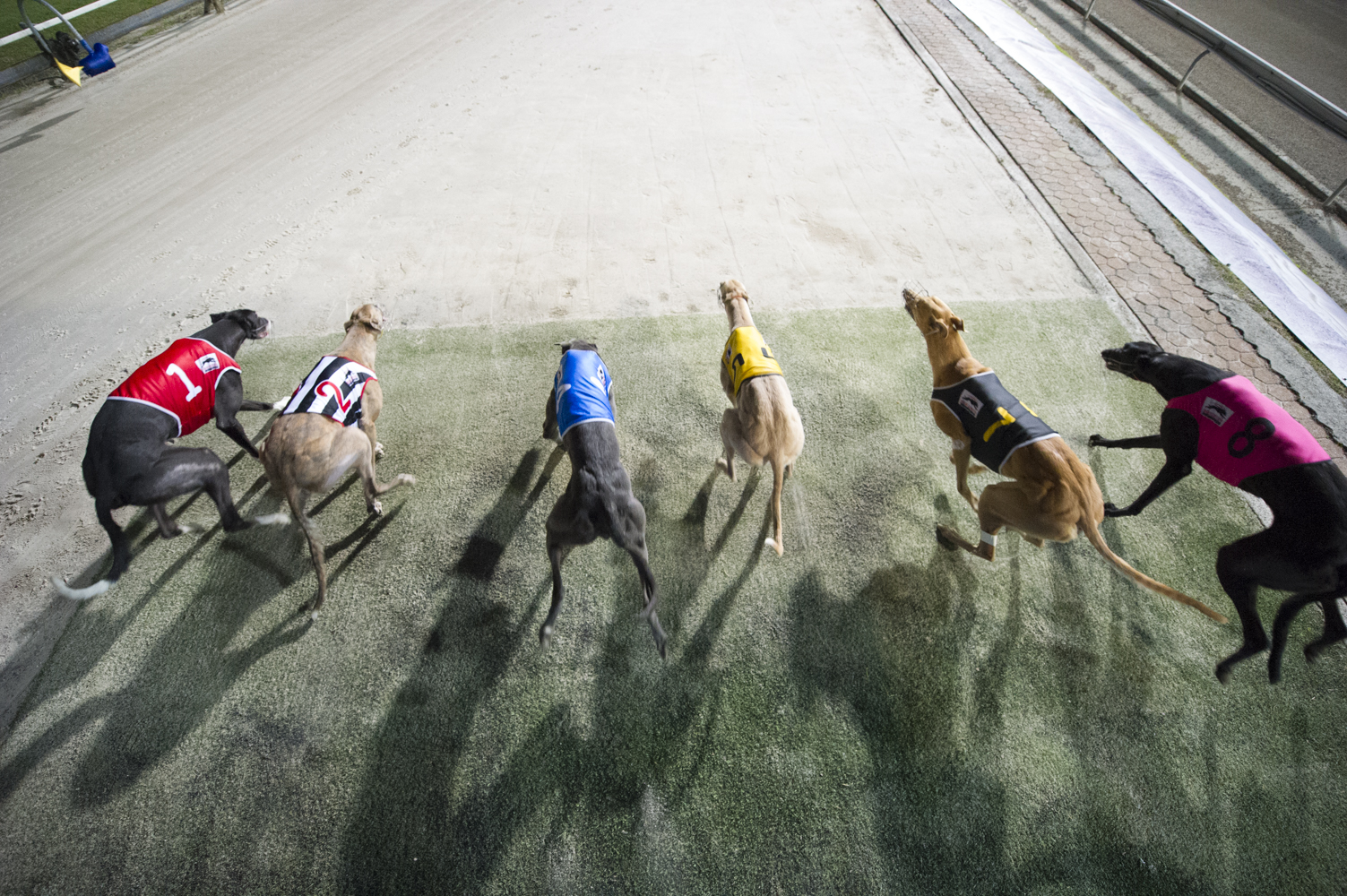 08 August :: Racing Queensland