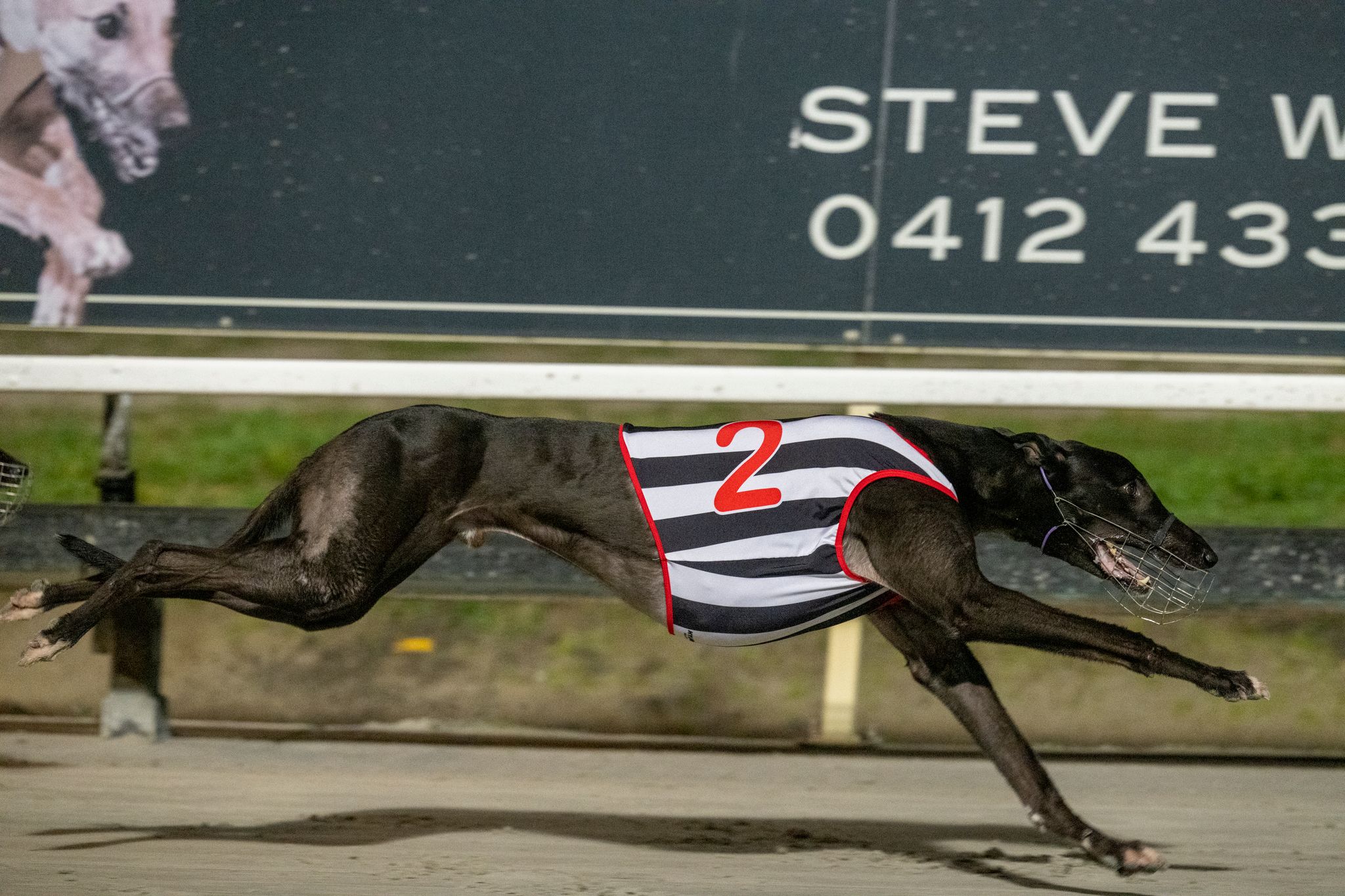 Homepage :: Racing Queensland