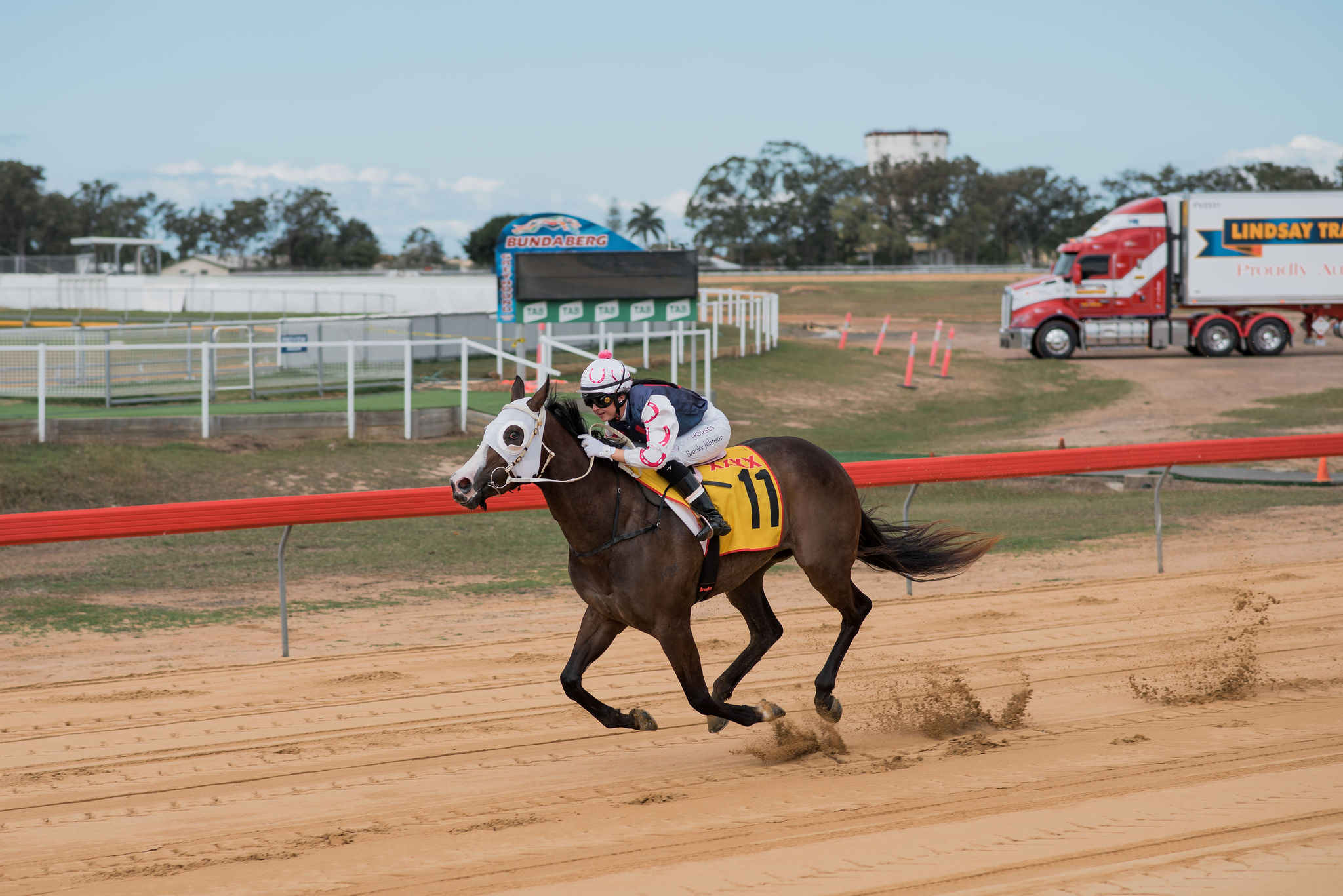 Greyhound GREYS4PETS 431m Tue 08 Aug 2023 :: Racing Queensland