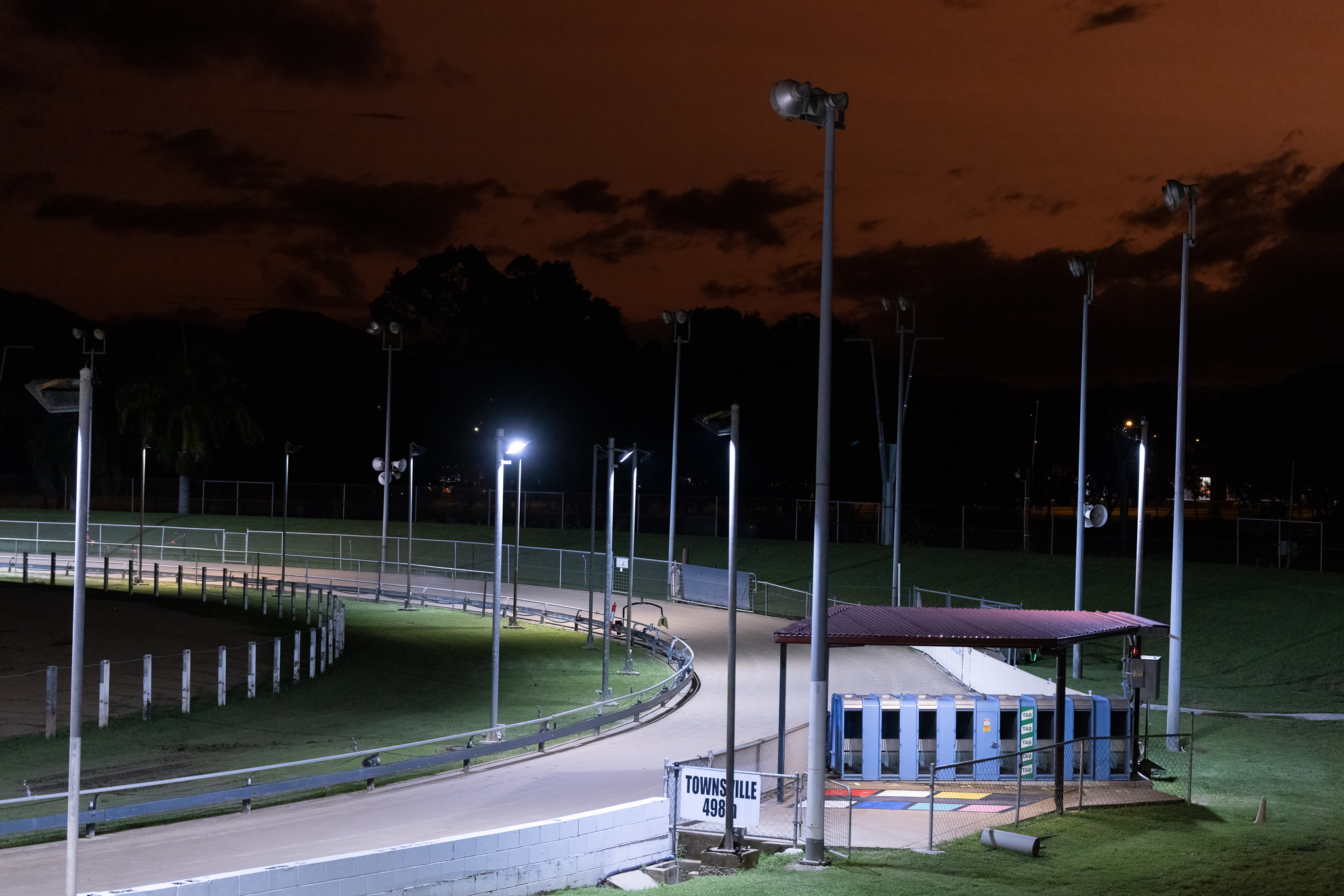 Knight's Choice :: Racing Queensland