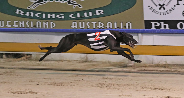 Handicapping Procedures :: Racing Queensland