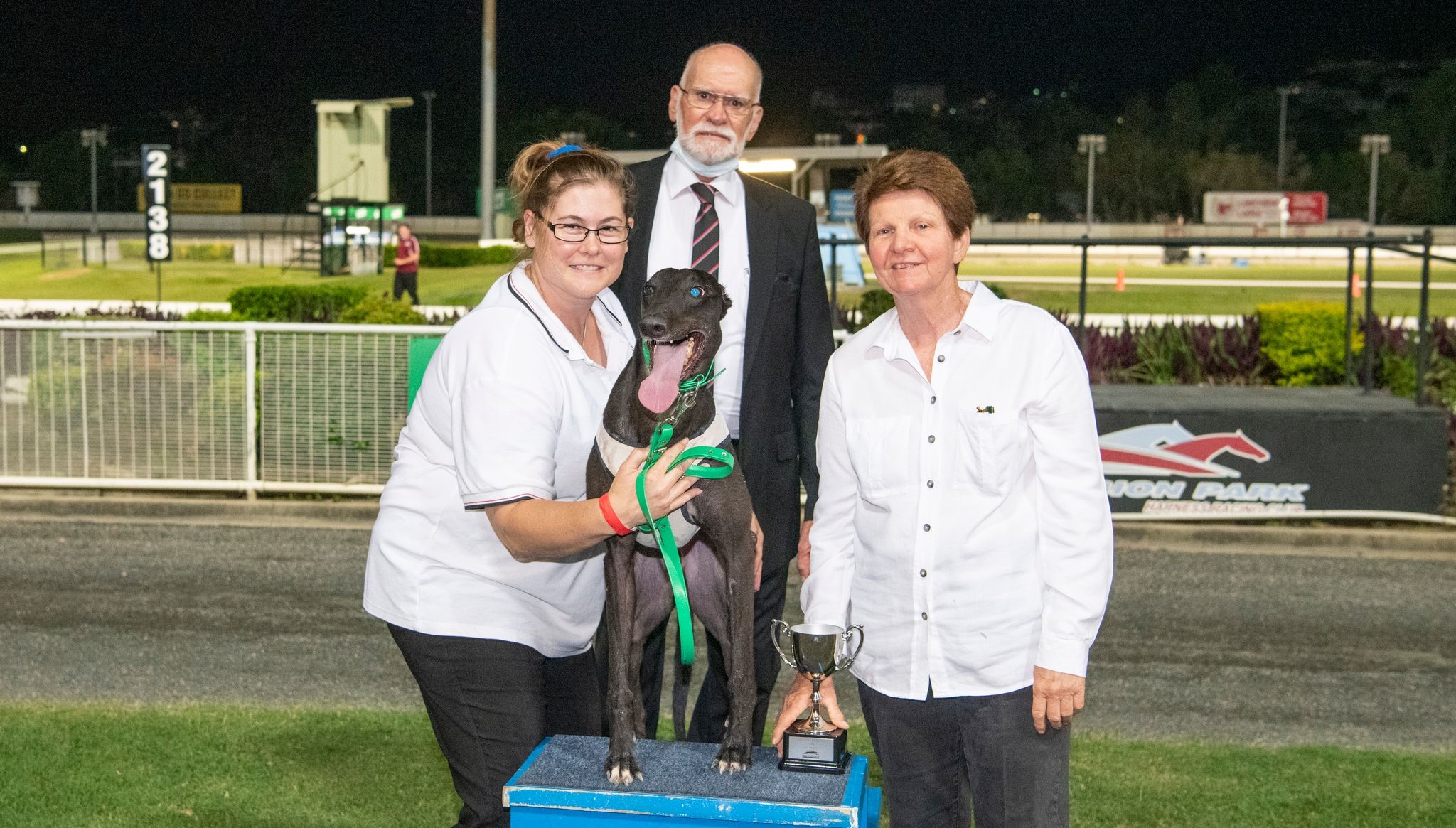 Greyhound :: Racing Queensland