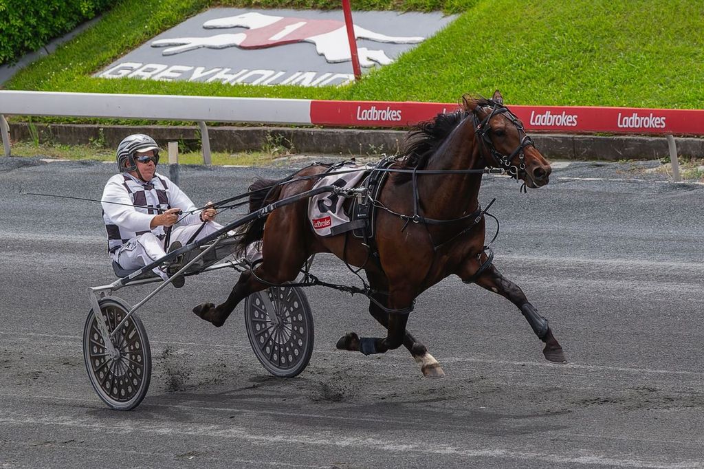 03 March :: Racing Queensland