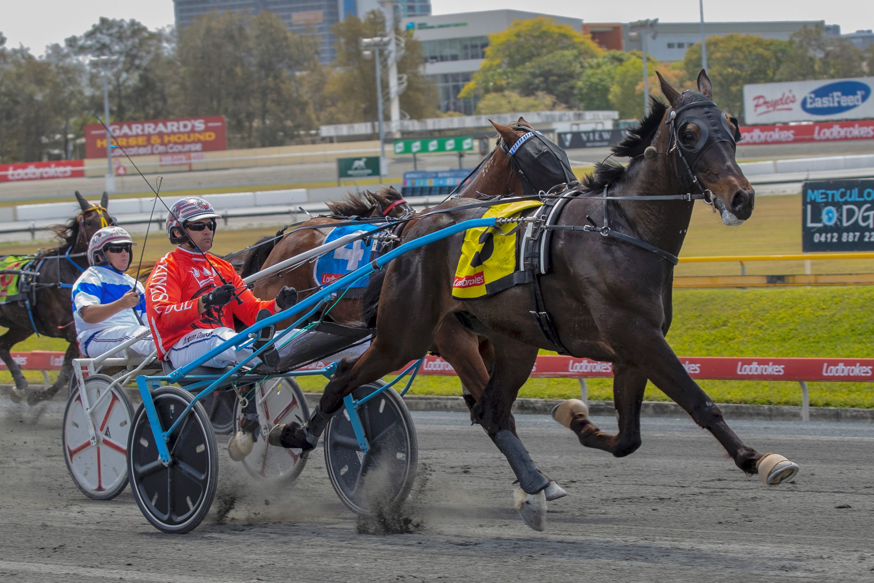 Class 6 Plate (Set Weights) 1600m :: Racing Queensland