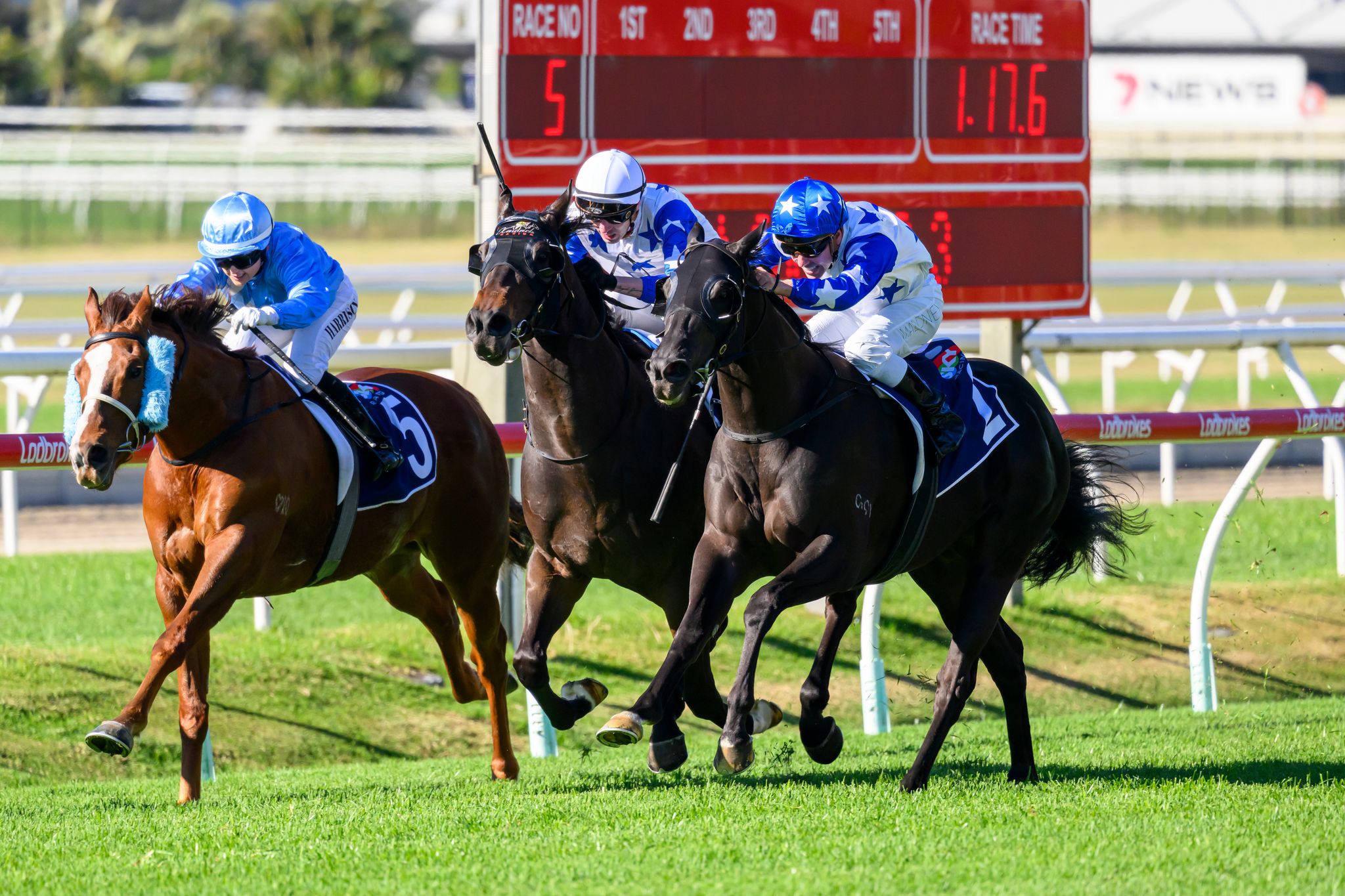 Greyhound TAB Flying Amy Classic (G2) H 520m Thu 01 Jun 2023 :: Racing ...