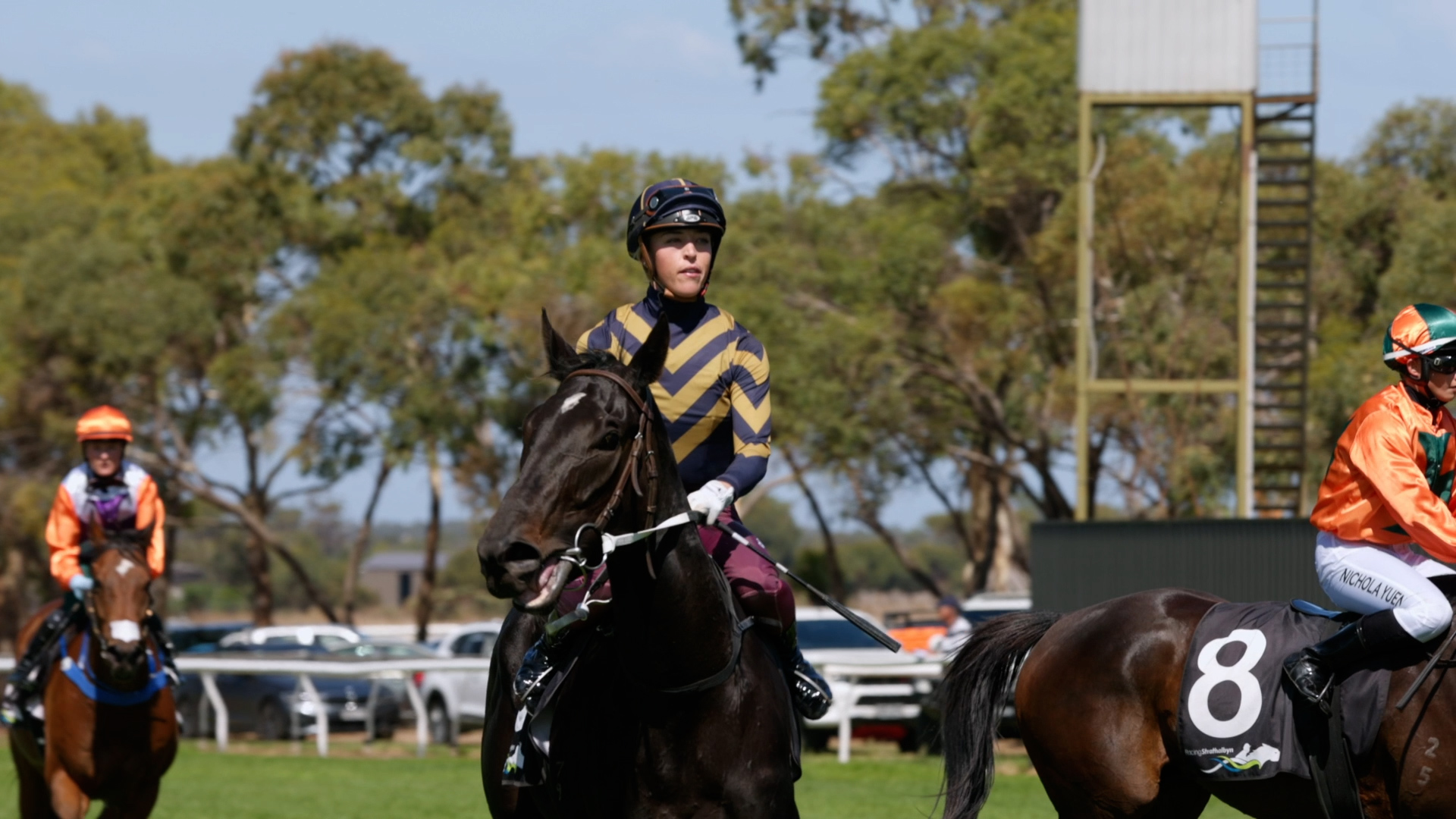 Greyhound QGOLD H 366m Sun 05 Mar 2023 :: Racing Queensland