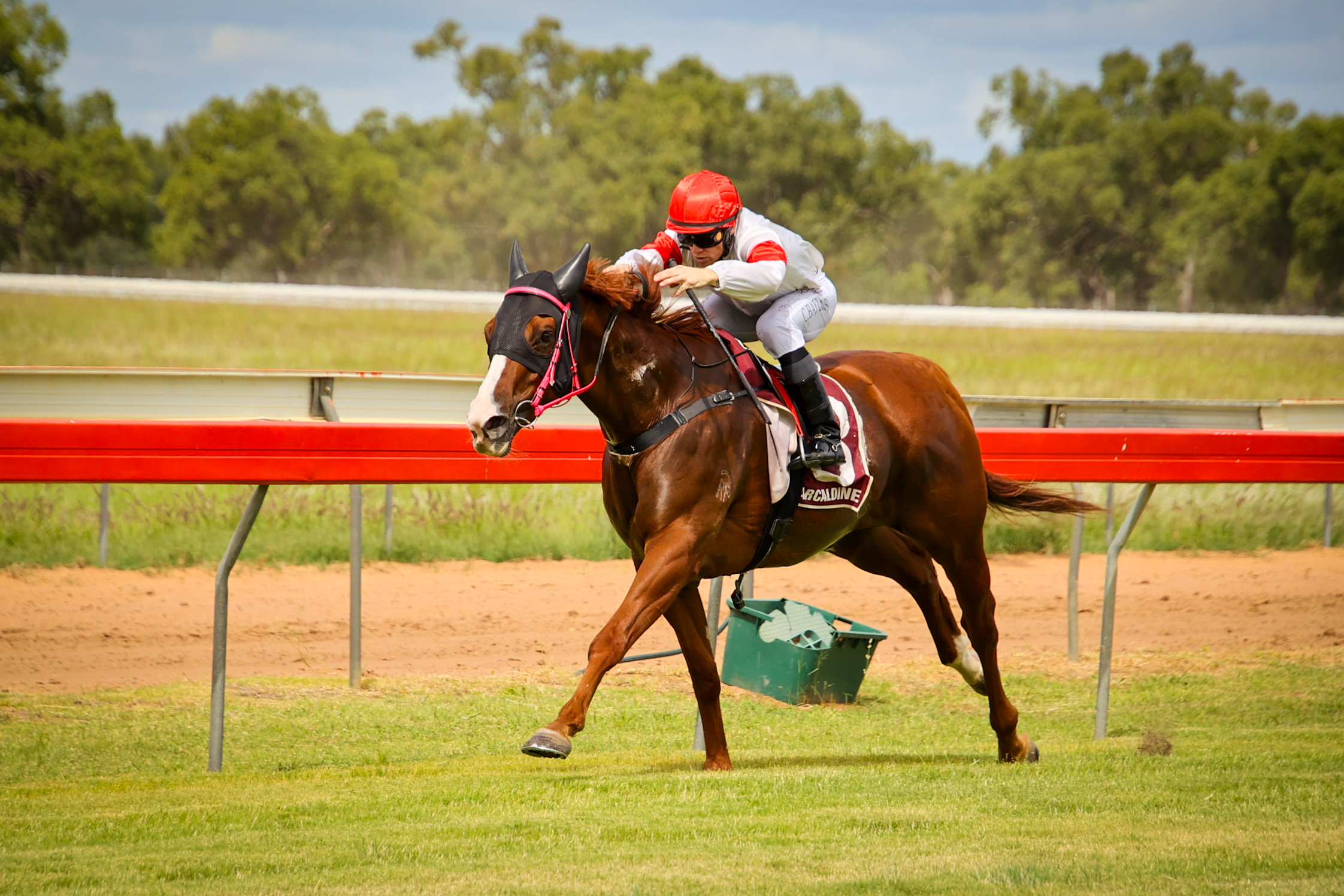 Queensland shines in Longines World’s Top 100 Group 1 rankings ...
