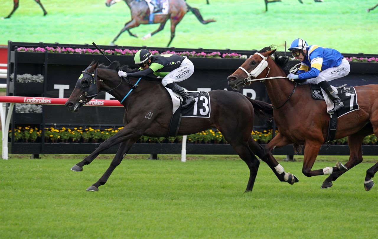 Queensland Thoroughbred, Greyhound and Harness Racing Results Today ...