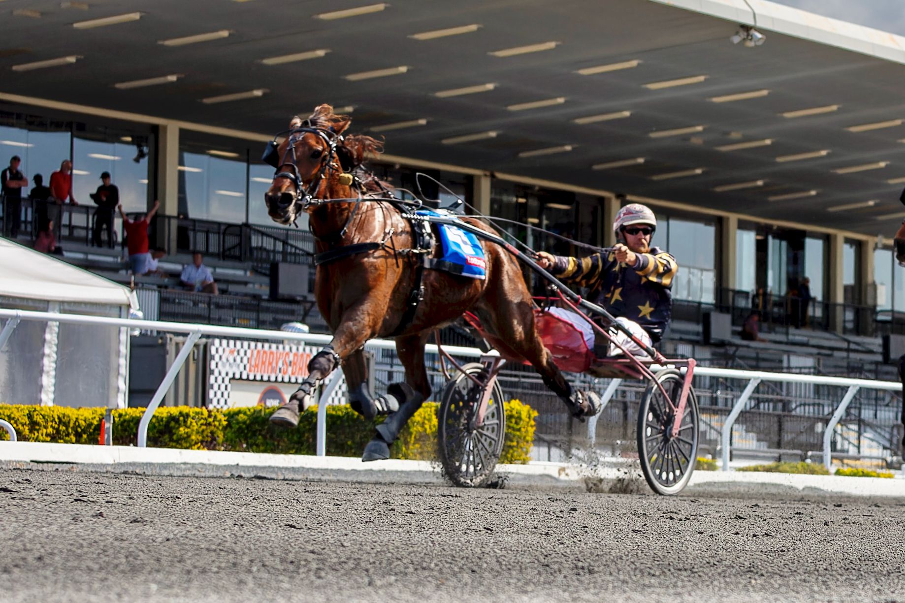 Aquis Park Gold Coast - Tue 31 Oct :: Racing Queensland