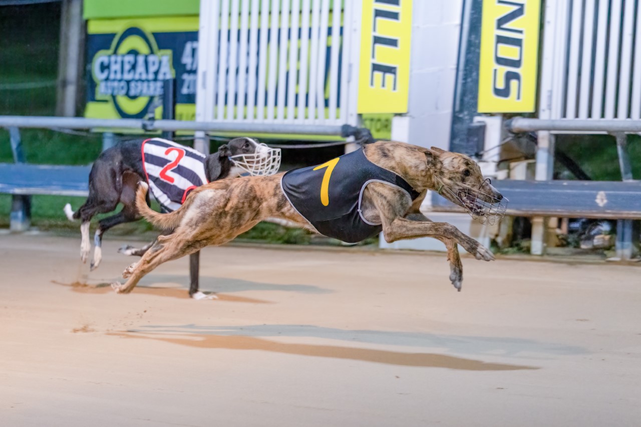 07 July :: Racing Queensland