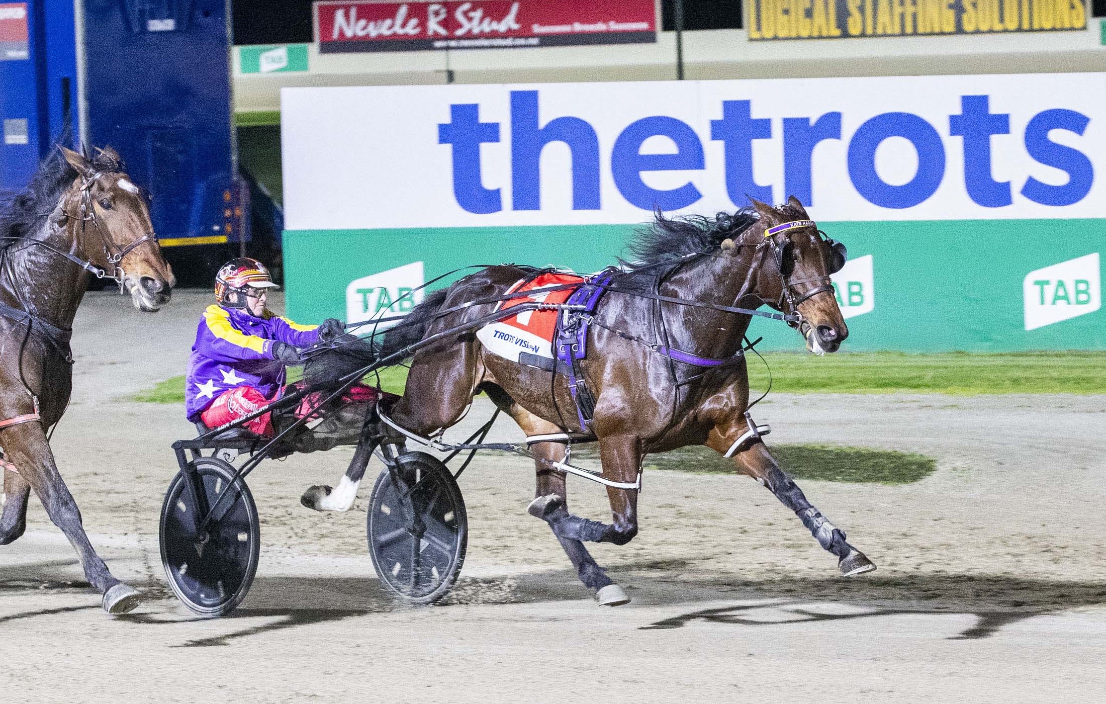 Stewards Report :: Racing Queensland