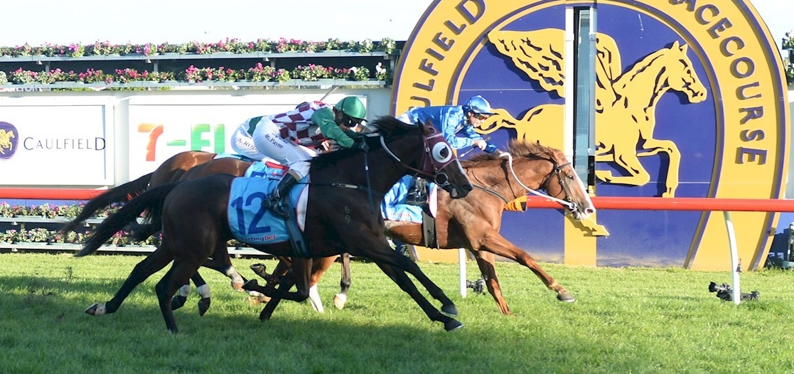 Homepage :: Racing Queensland
