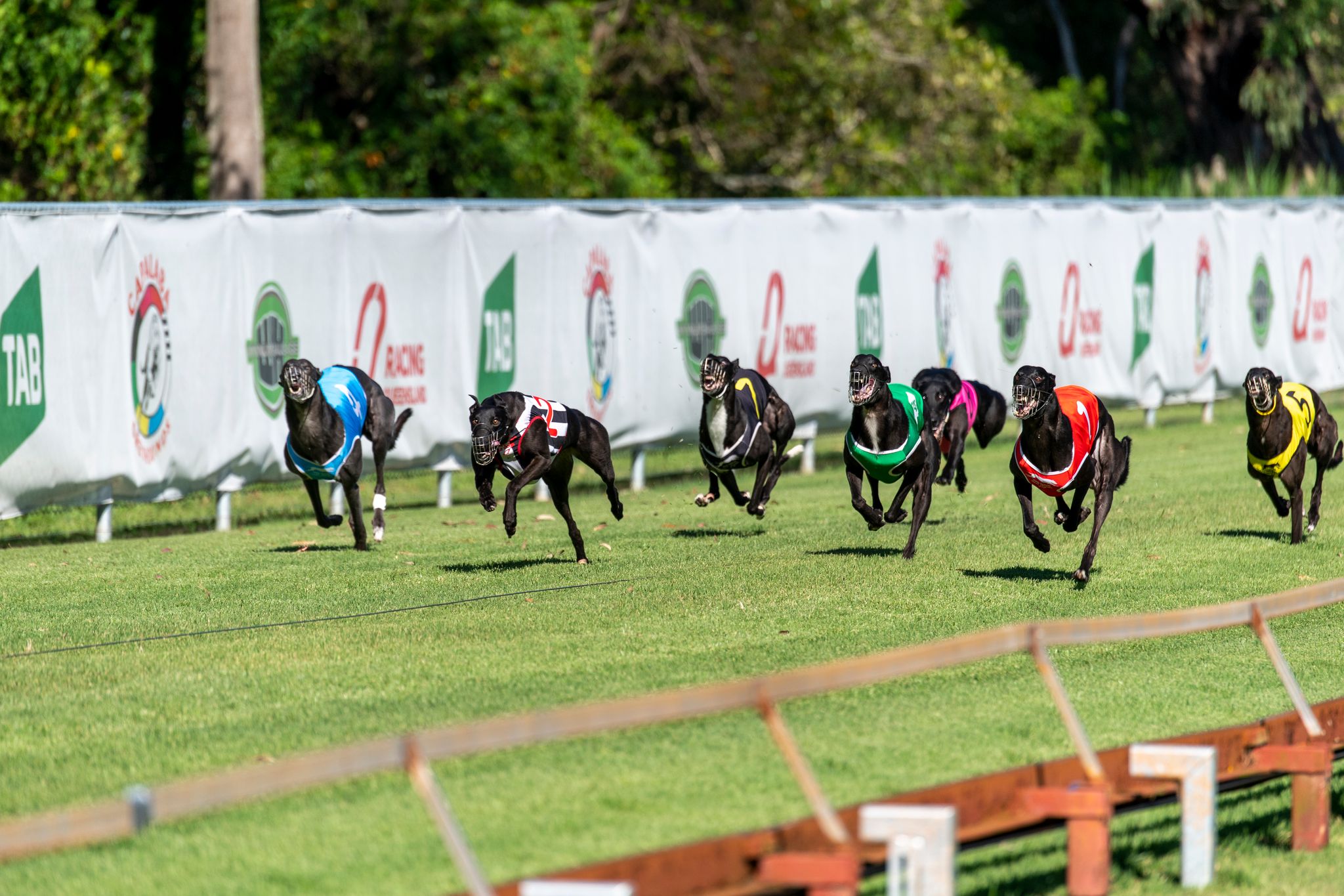 Homepage :: Racing Queensland