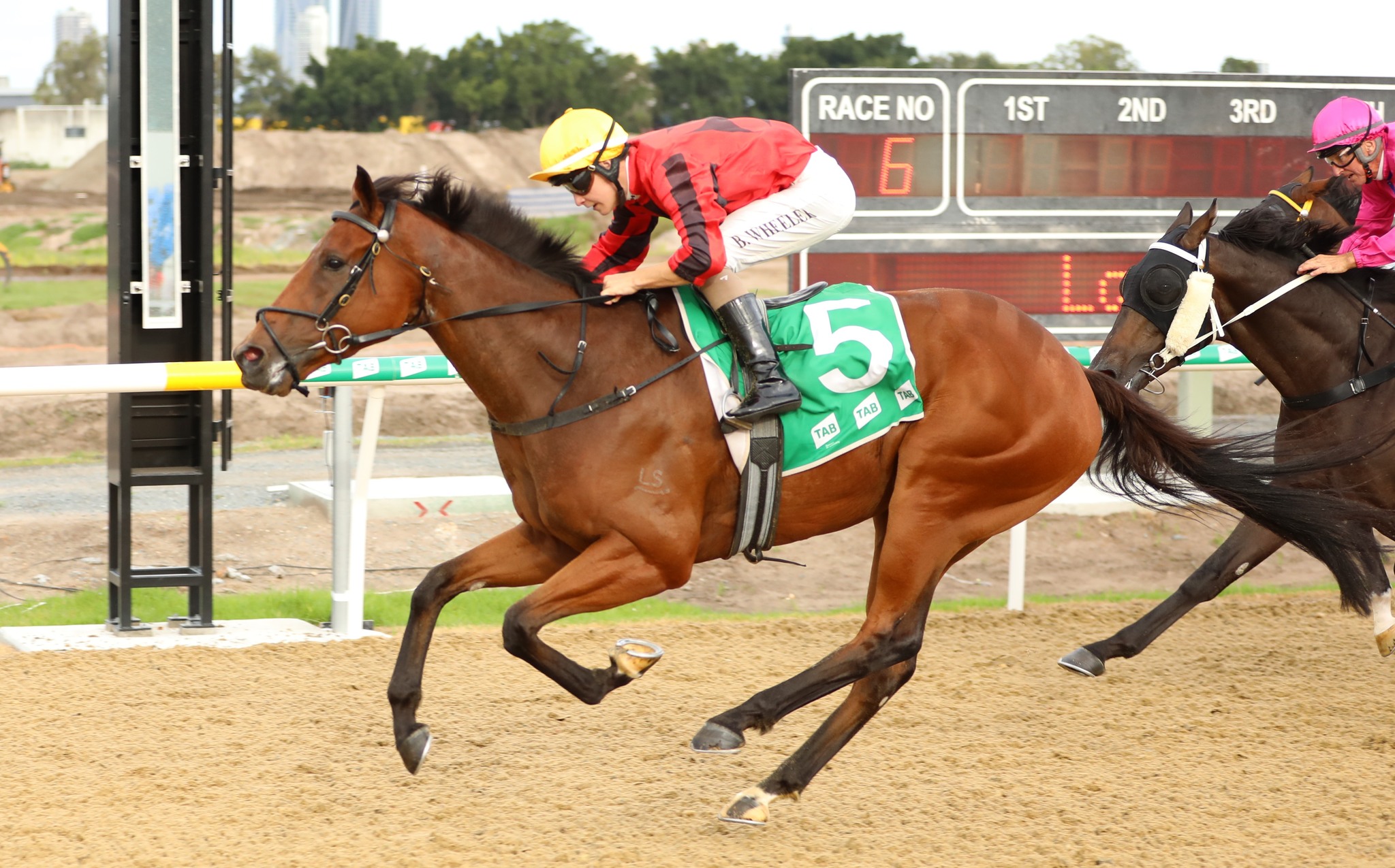 Greyhound TAB Regional Origin Challenge F 520m Thu 15 Jun 2023 ...