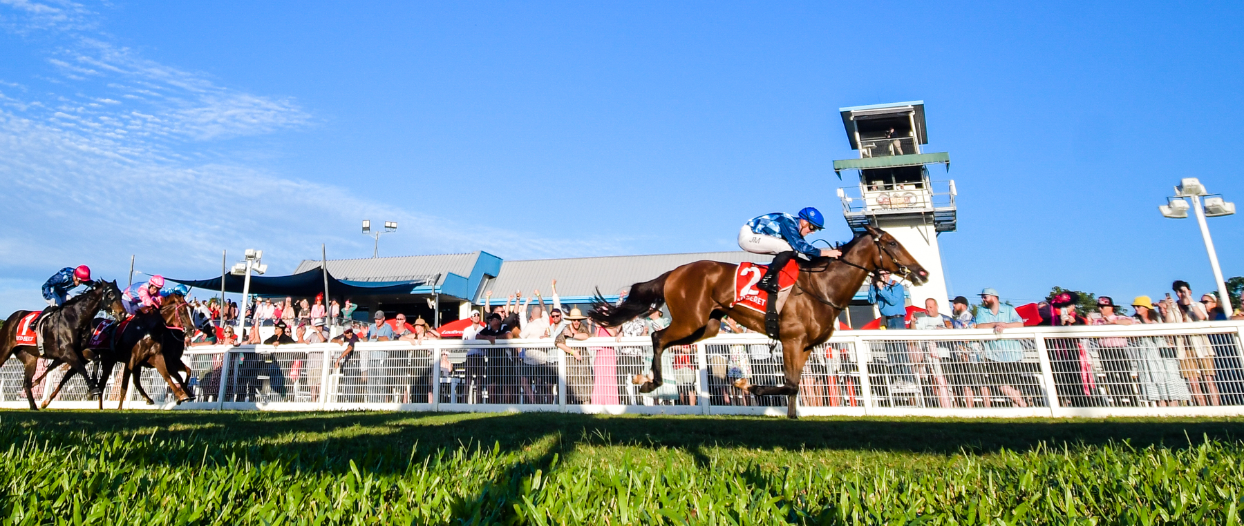 Queensland Thoroughbred, Greyhound and Harness Racing and Results ...