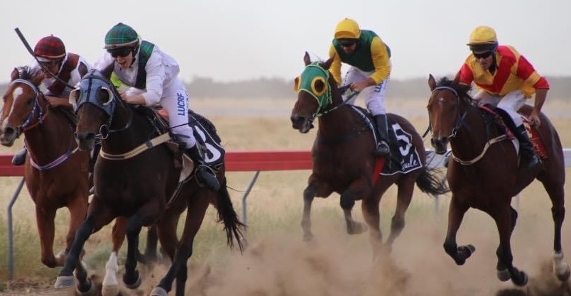 Homepage :: Racing Queensland